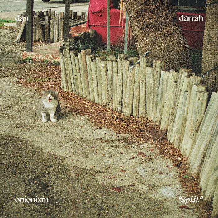 Split | Onionizm