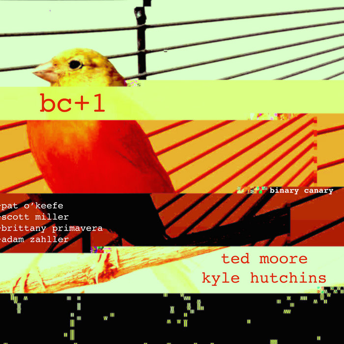 bc+1 | Binary Canary