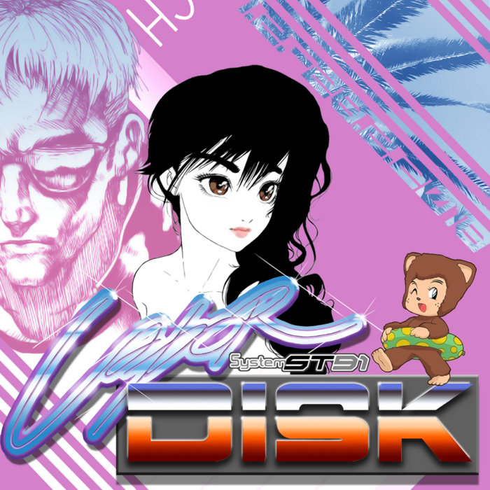 VaporDISK | System ST91