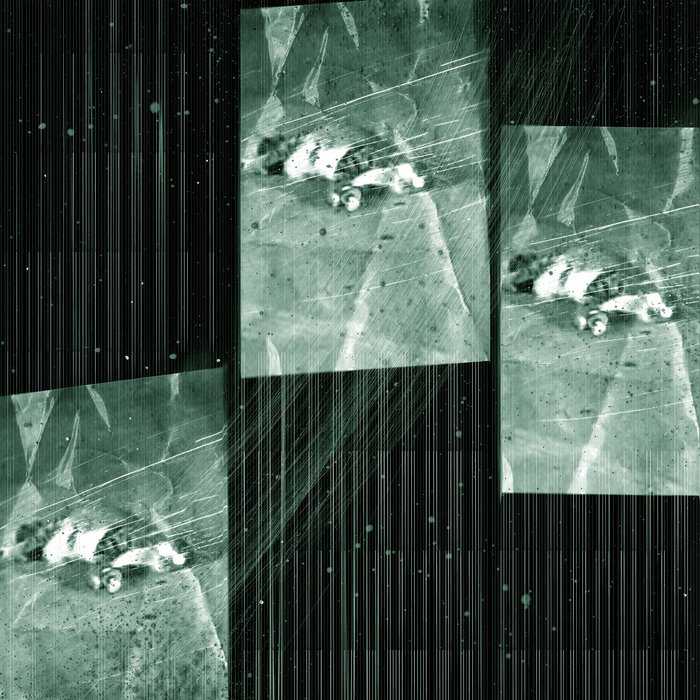 FC002 | V/A | Feral Colony