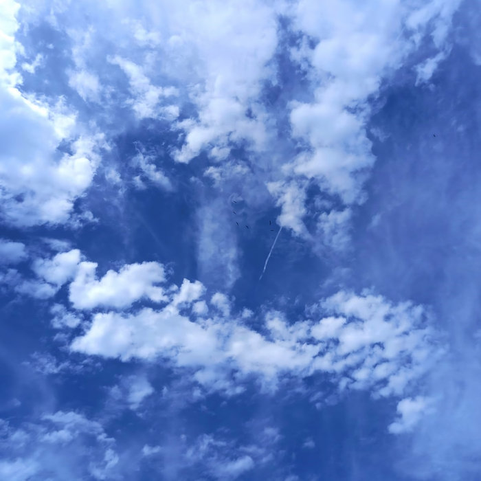 Divination in Three Parts | Adam Soper