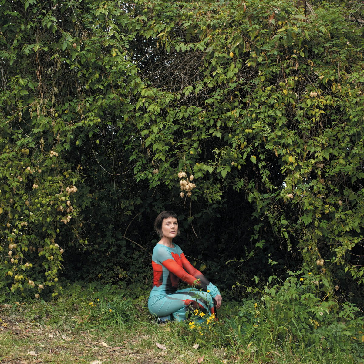 Molasses | Natalie Slade