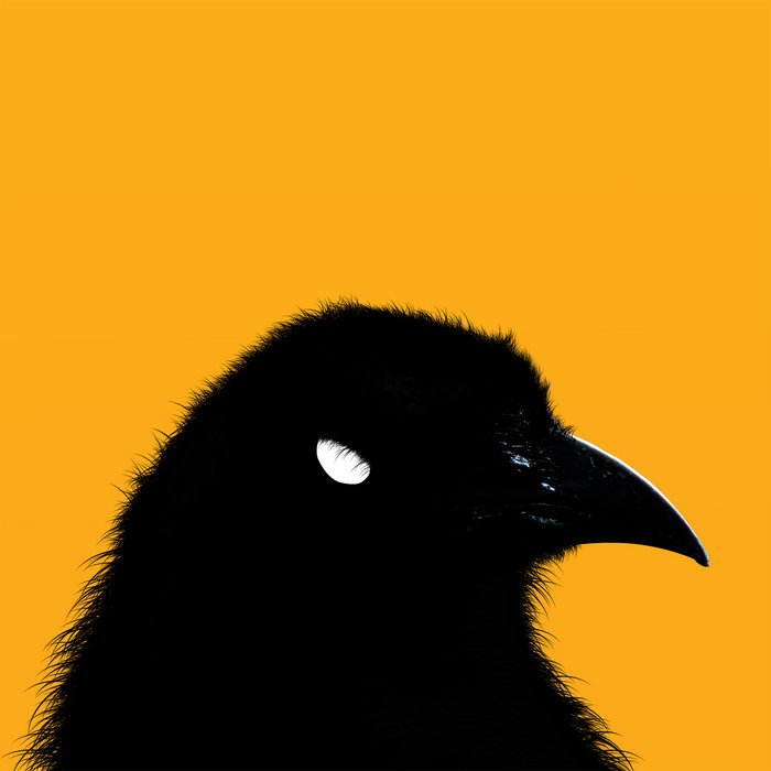 Boy Genius | Boy Genius