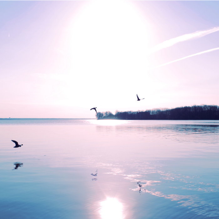 fuzzy season ep | luvbird