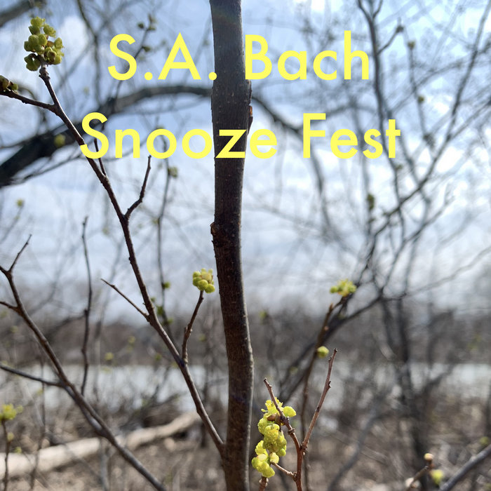 Snooze Fest | S.A. Bach