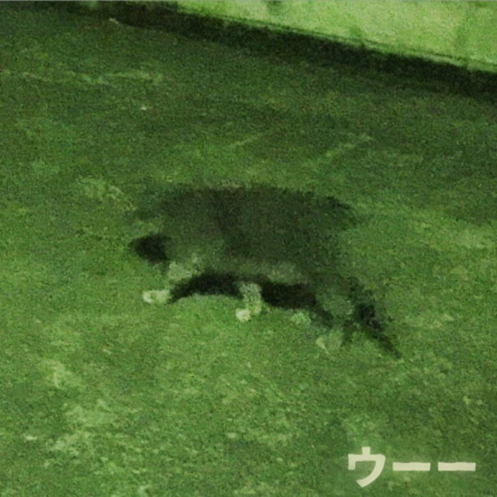 optical madness | Uooh