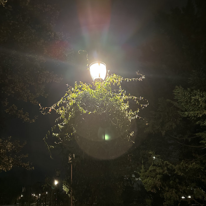scars (demo) | Jack Verlaine