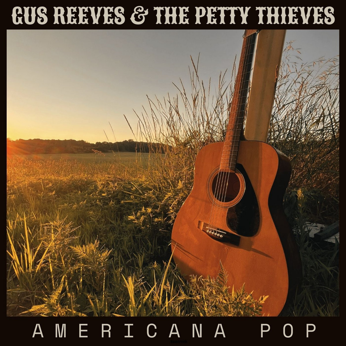 AMERICANA POP | Gus Reeves & The Petty Thieves