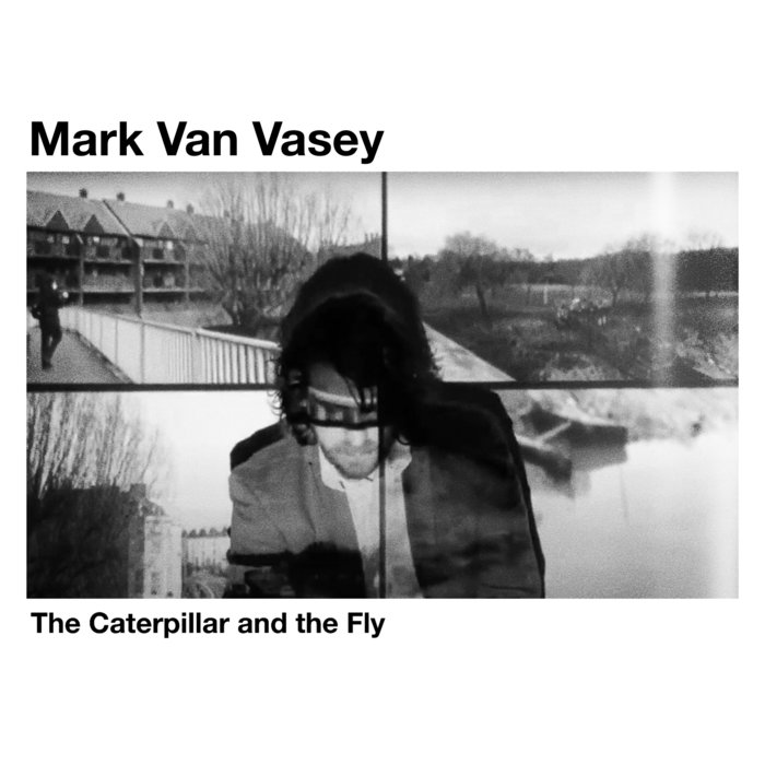 The Caterpillar and the Fly | Mark Van Vasey