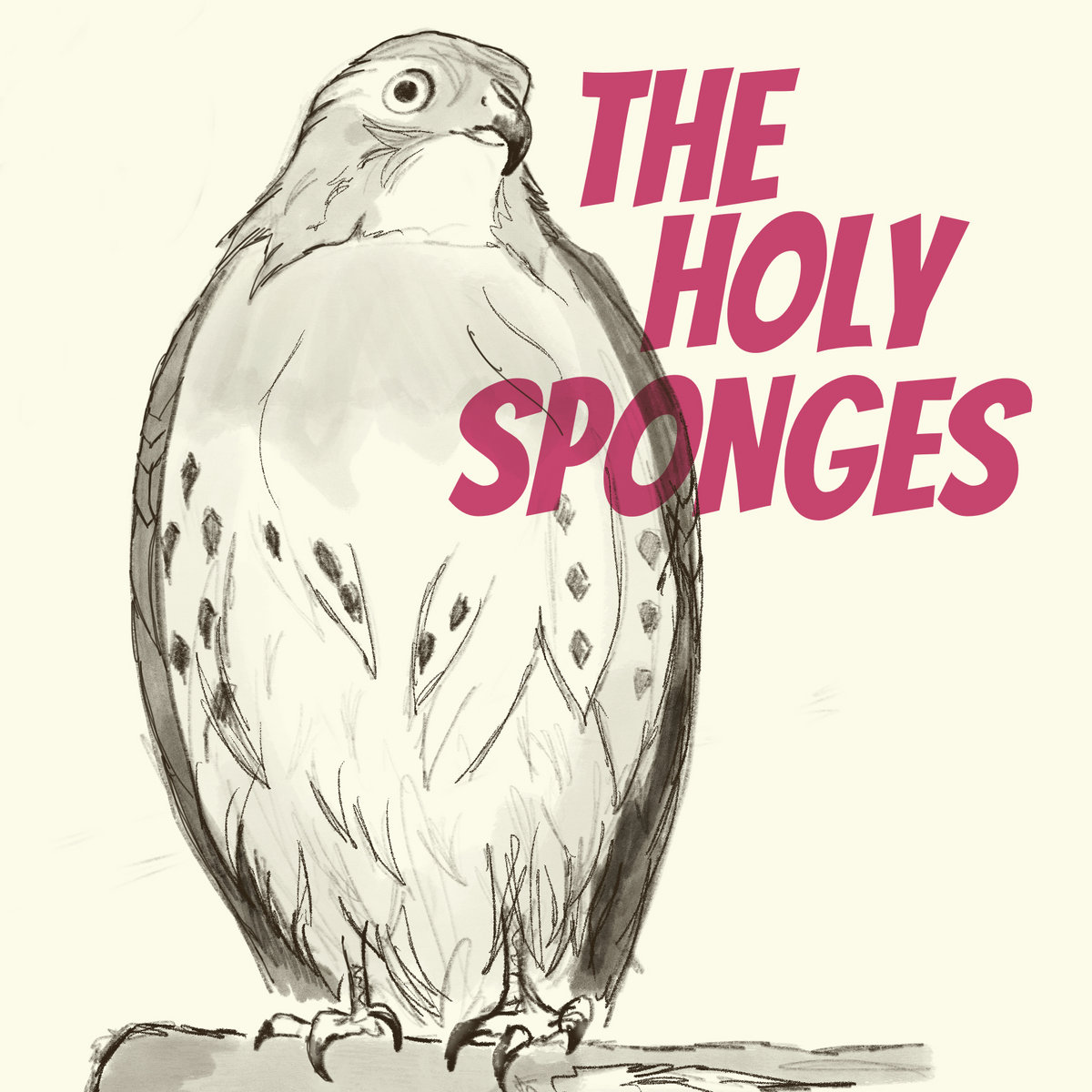 The Holy Sponges | The Holy Sponges