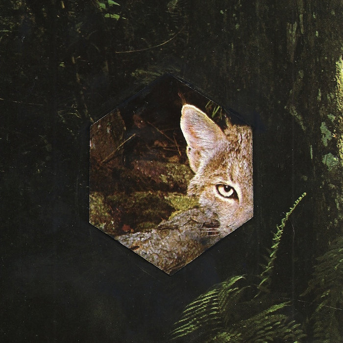 swamp romp | voidwalker