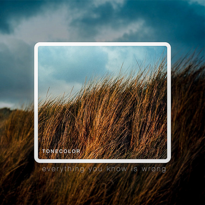 Everything You Know Is Wrong | Tone Color