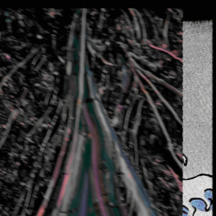 Gutter / Spine | crazy couch