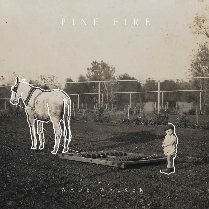 Pine Fire | Wade Walker