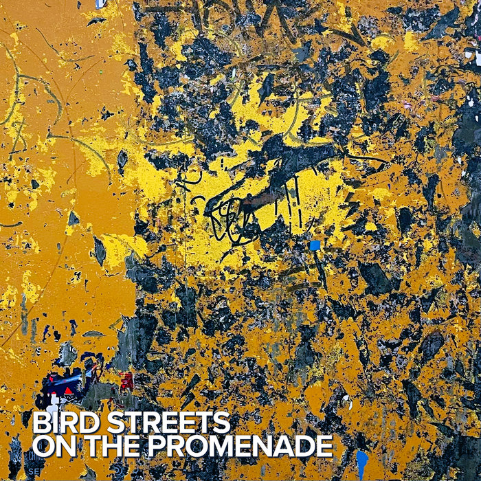 On The Promenade | Bird Streets