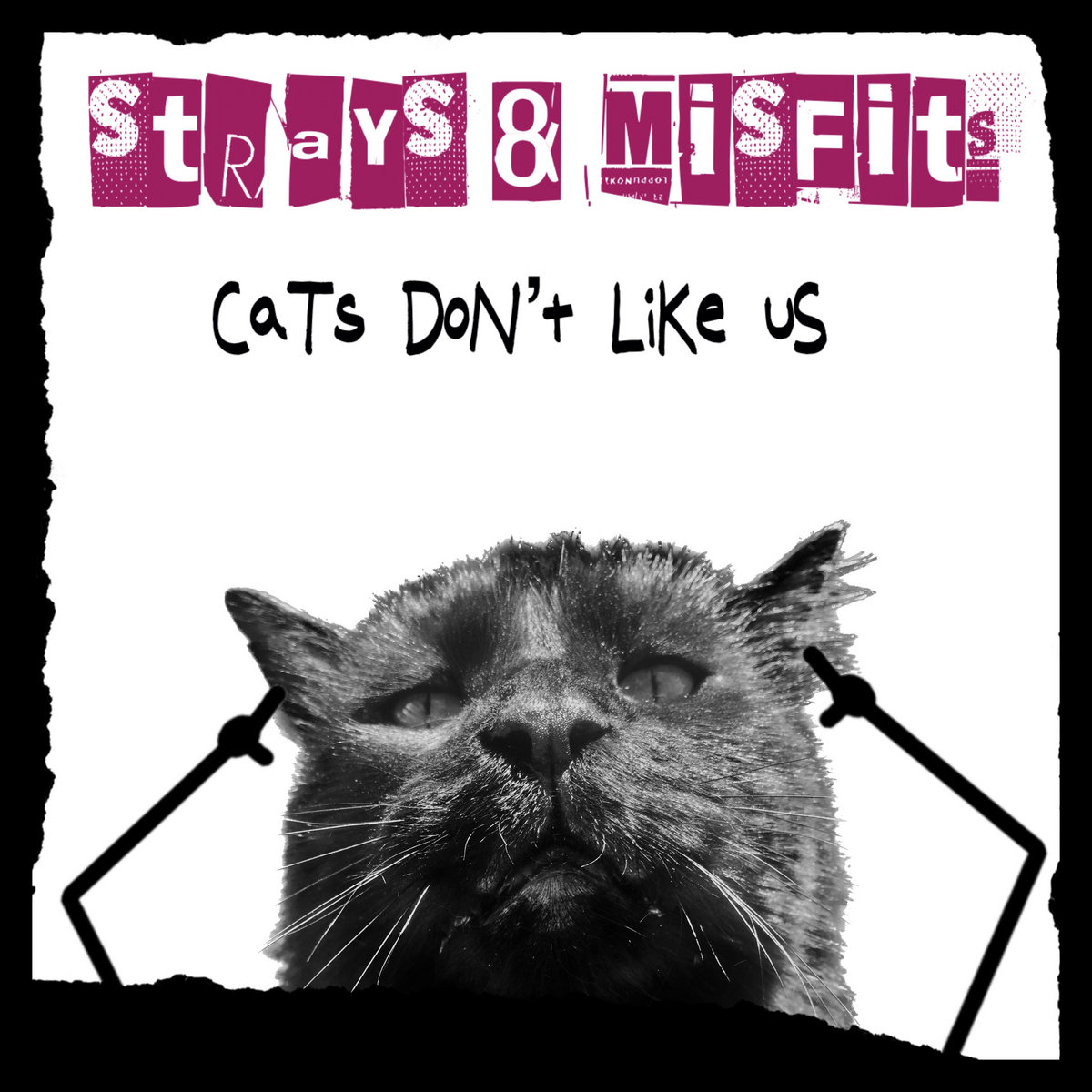 Cats Don't Like Us | Strays & Misfits