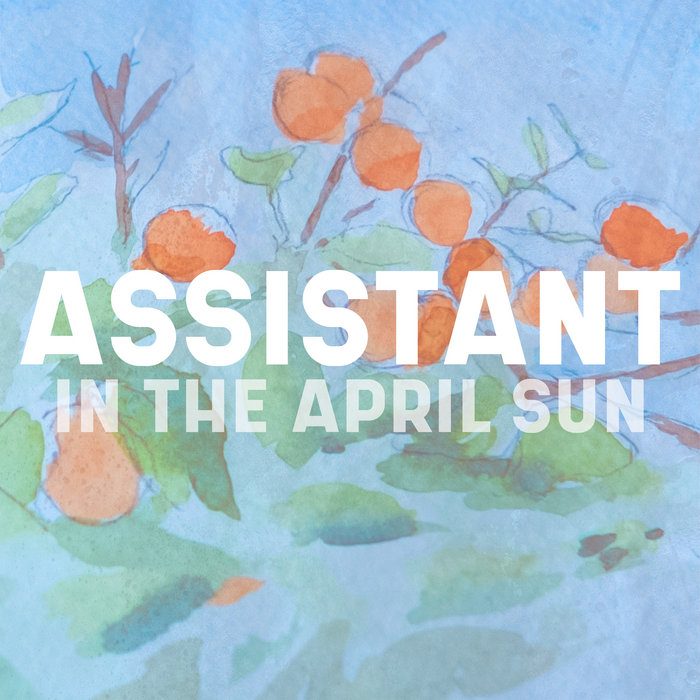 In The April Sun | Assistant