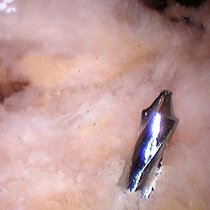 Refuge in Genre | Hank IV