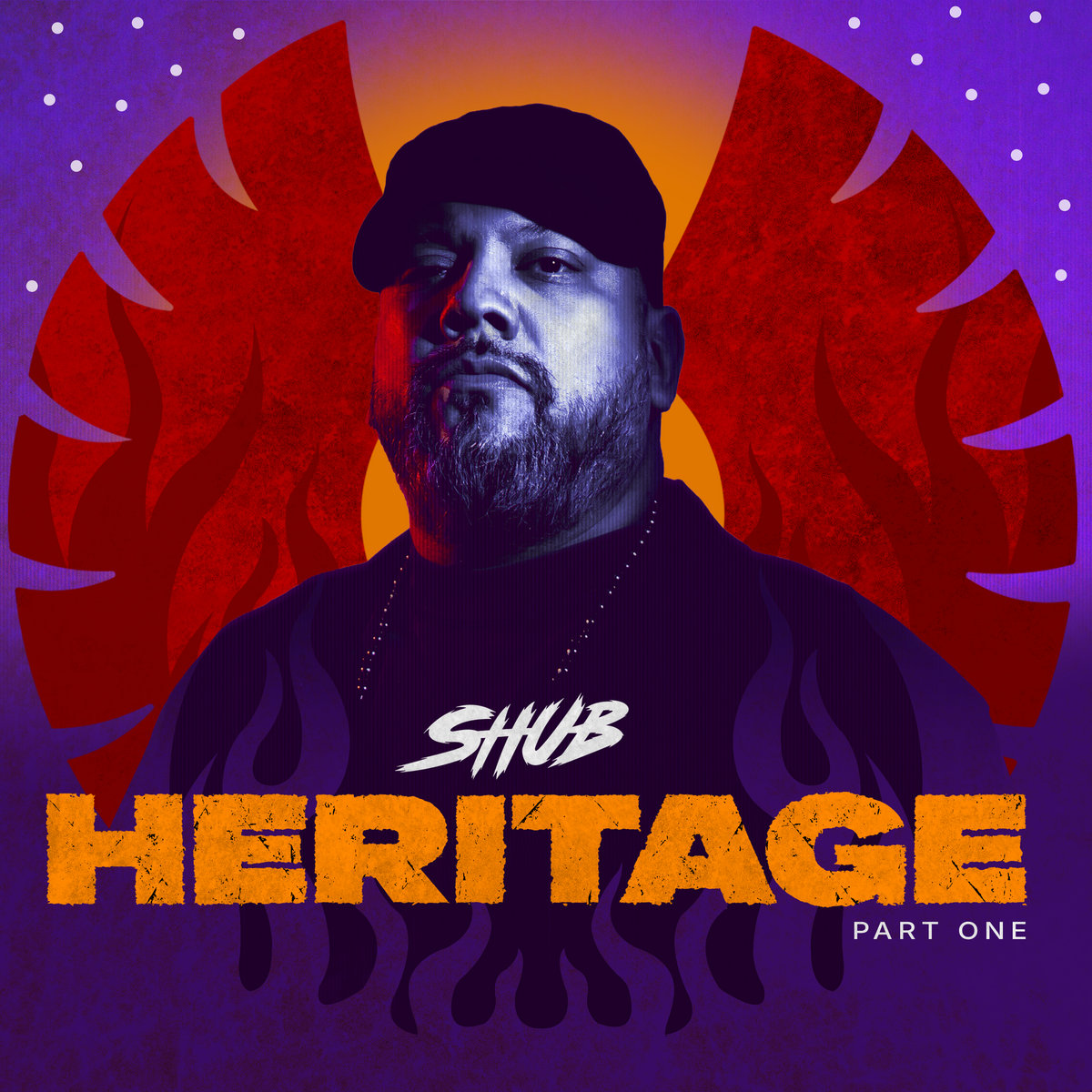 Heritage (Part One) | Shub | DJ Shub