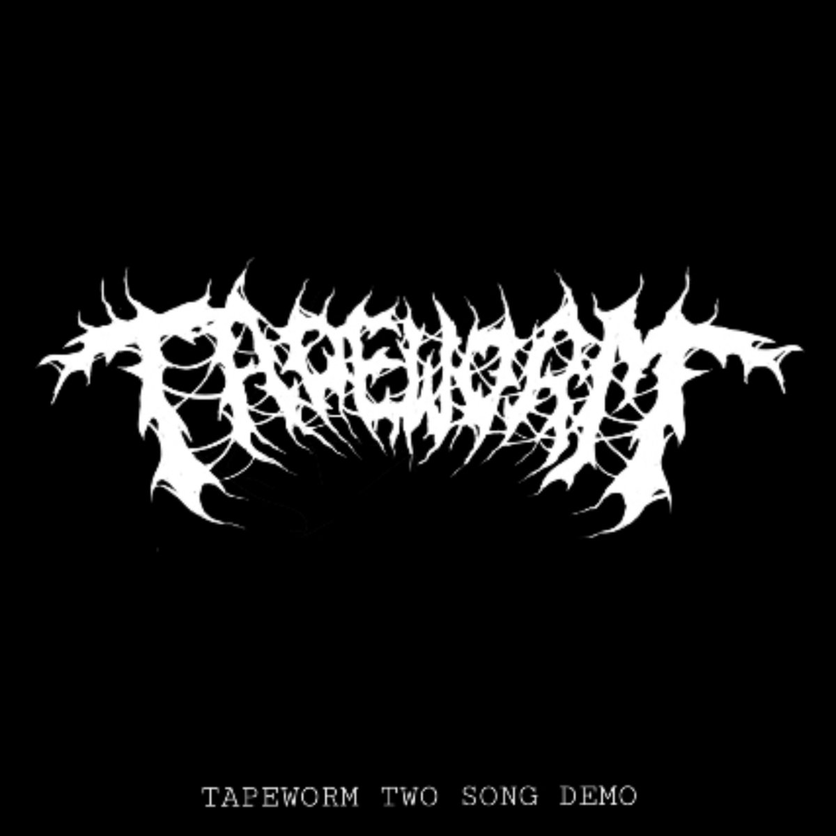 TAPEWORM TWO SONG DEMO | Amok