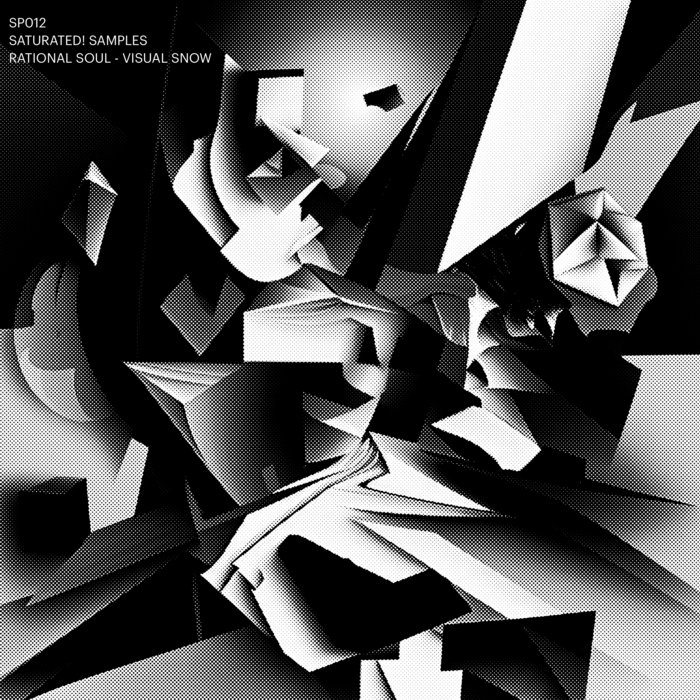 Visual Snow (Sample Pack) | RATIONAL SOUL | SATURATED! SAMPLES