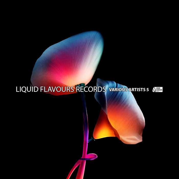 Liquid Flavours Records - Various Artists 5 | Various Artists | Liquid ...