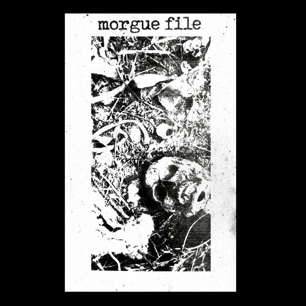 01 - 04 | Morgue File