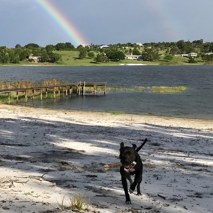 Lake Songs | George K.Karos | George Karos