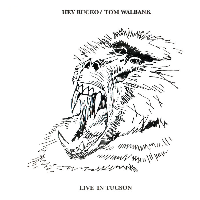 LIVE IN TUCSON | Hey Bucko/Tom Walbank | Hey, Bucko!