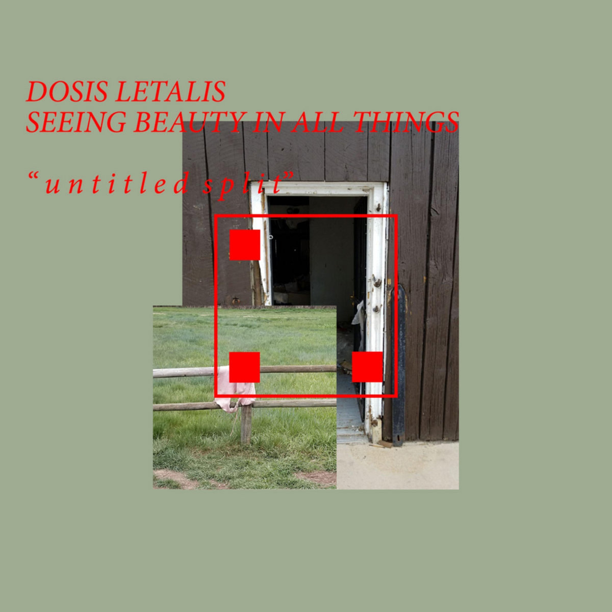 Untitled Split | Dosis Letalis // Seeing Beauty In All Things | Dosis Letalis