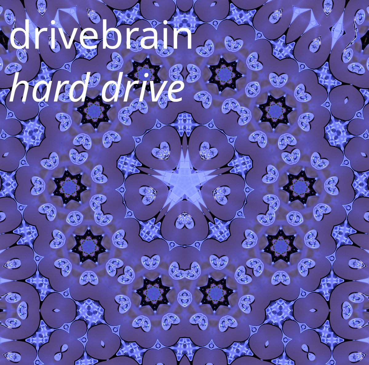 drivebrain - hard drive | undefinedlabel
