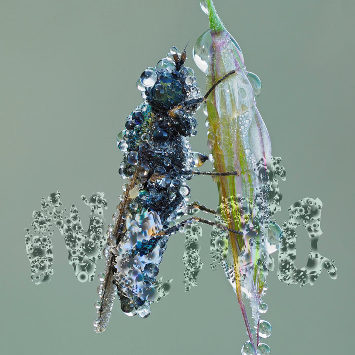 False Nostalgia | Neida | Nehza Records