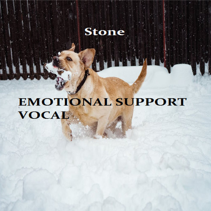 Emotional Support Vocal | Stone | Stone's Sonic Journal