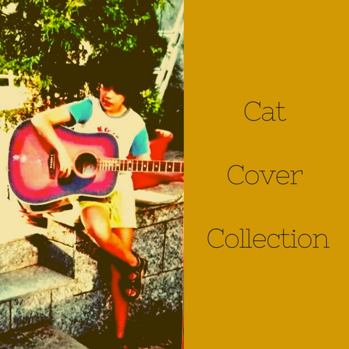 Cat Cover Collection - Album | catachán