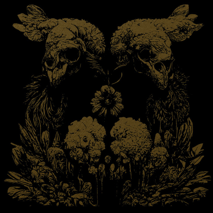 Black Birch | Black Birch | Fiadh Productions