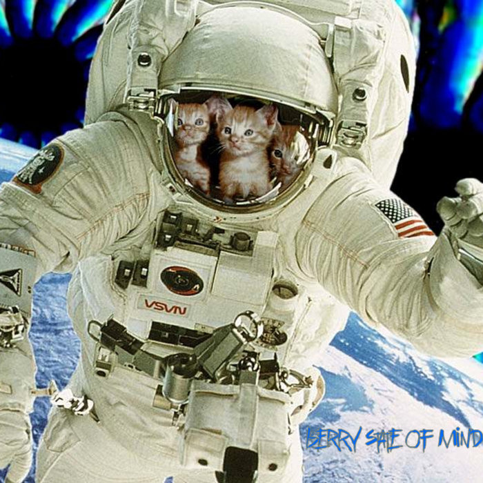 012: The Motionless Ideas | Berry State of Mind