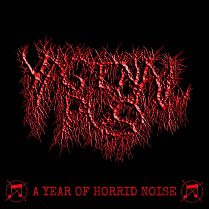 A YEAR OF HORRID NOISE | Vaginal Pus
