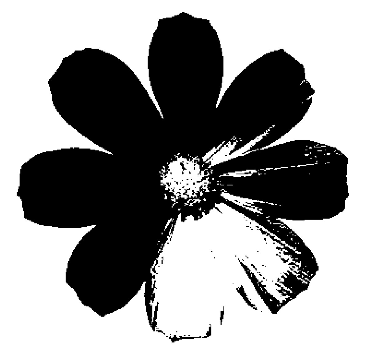 Wastrel | The Plot | Nauscopy