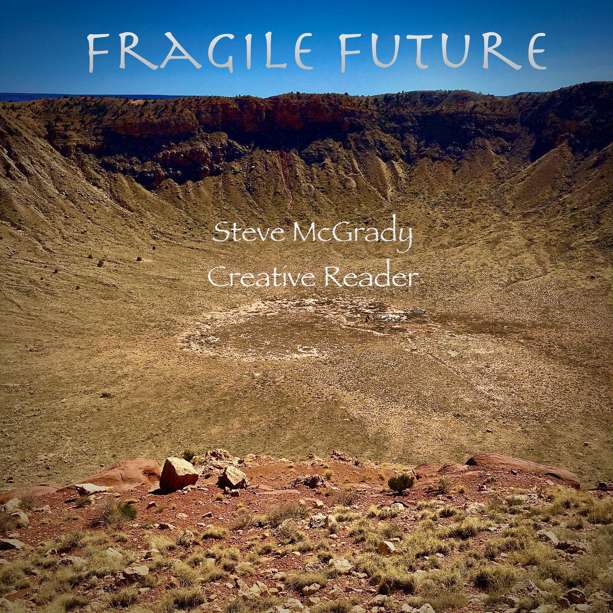 Fragile Future | Steve McGrady