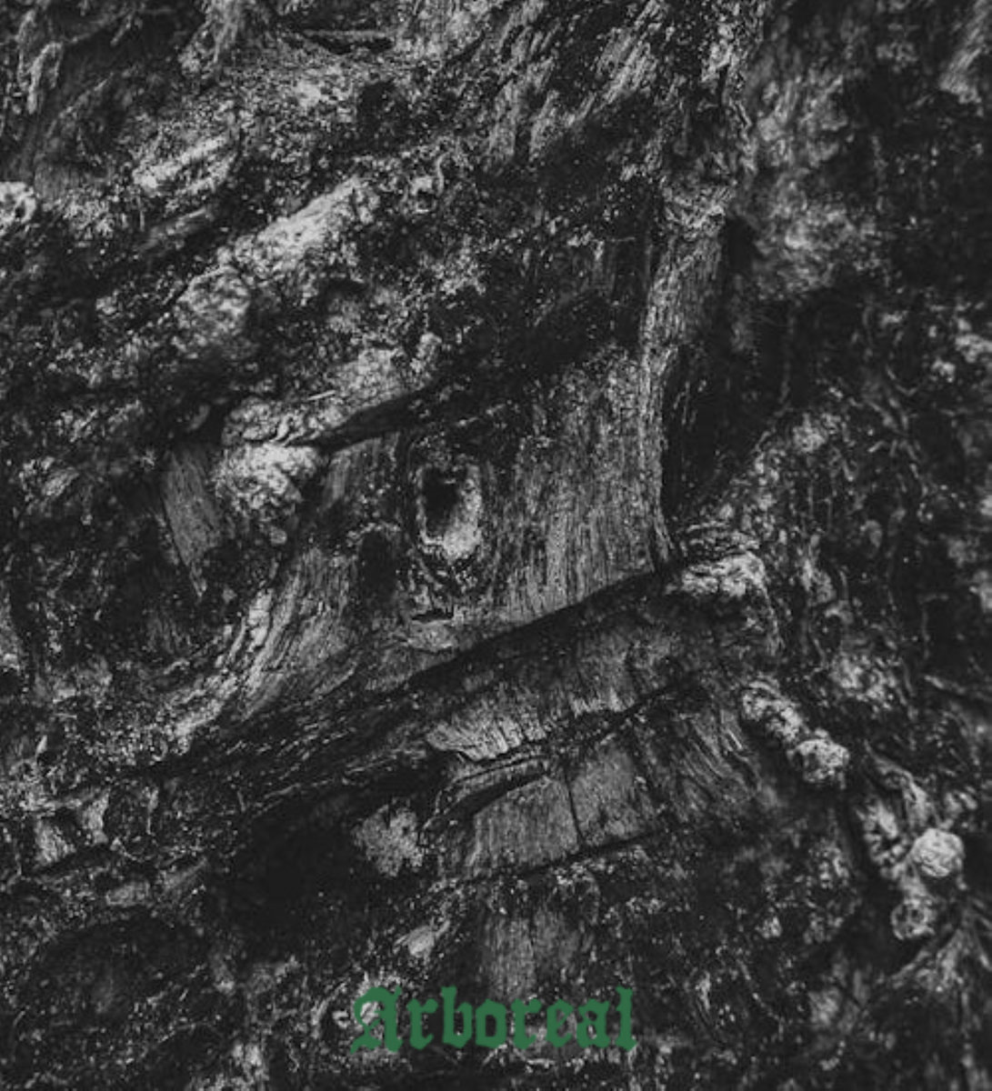 Arboreal | Turkul