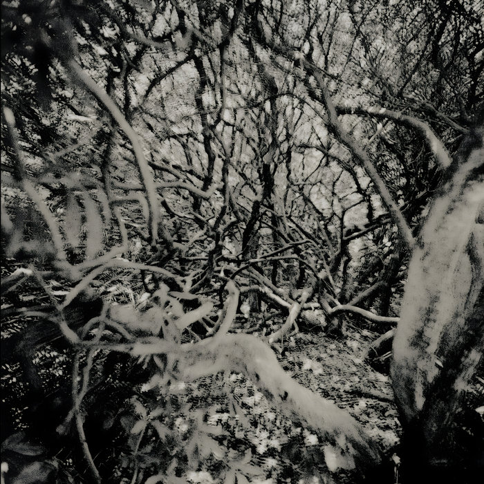 Duo Pour 454 Chordes | Pak Yan Lau, Lionel Malric | Pak Yan Lau