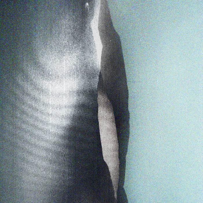 Aleph Attempt | Paskine