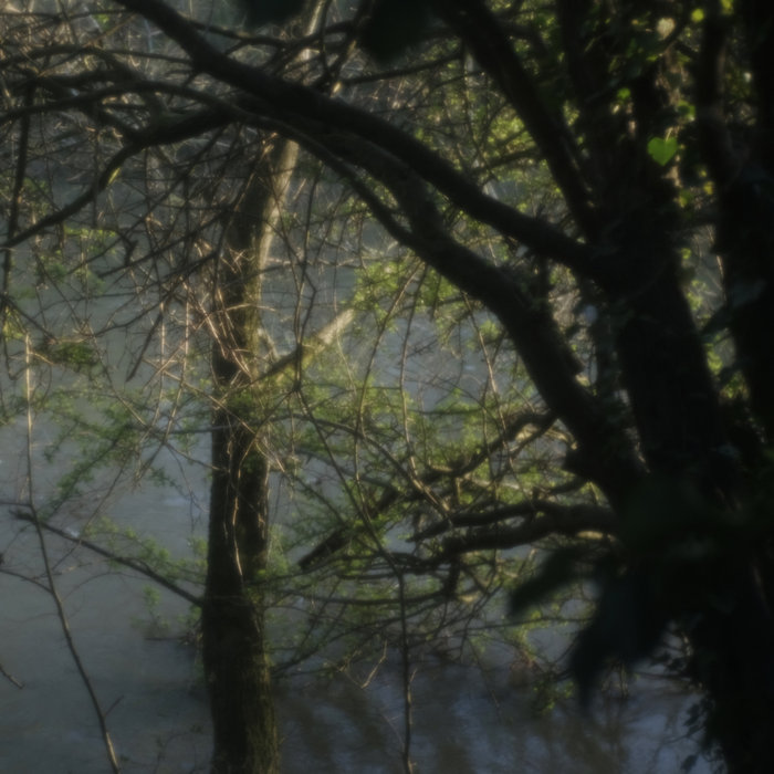 Moth Harmony | North Wind | shut shop records