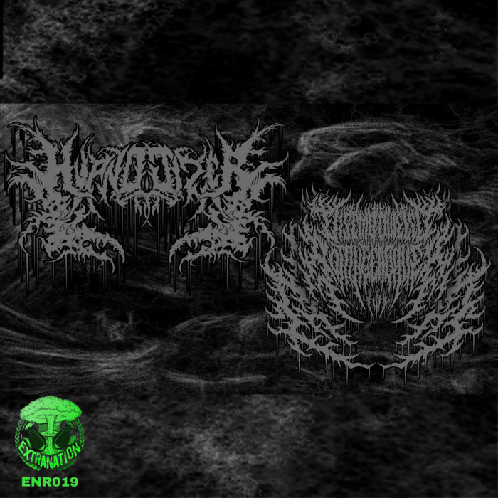 ENR019 Hypnotizer & Disemboweled Rotting Cadaver Split | Hypnotizer ...
