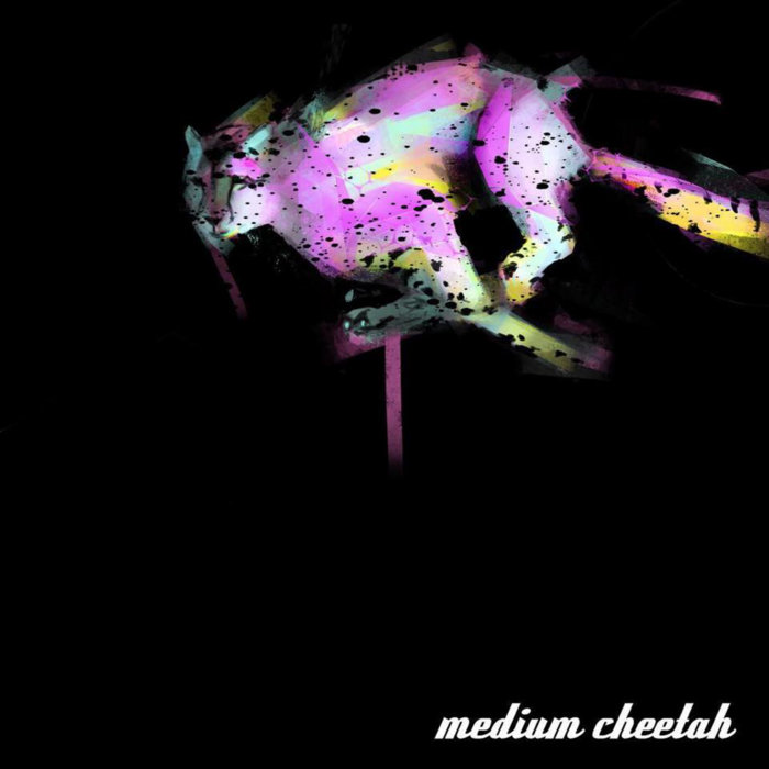 Spider | Medium Cheetah