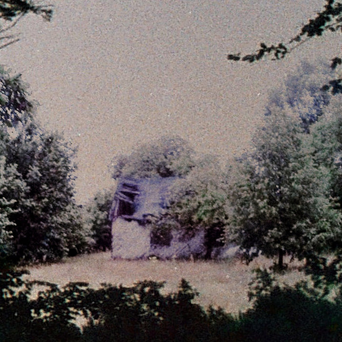 Withheld Realms | Bruno Janiszewski