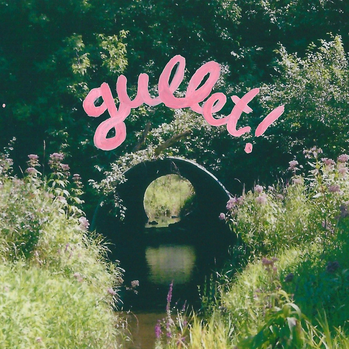 gullet! | gullet