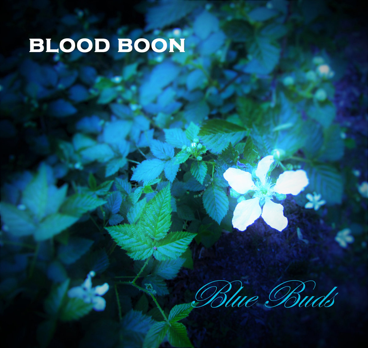 Blue Buds | Blood Boon