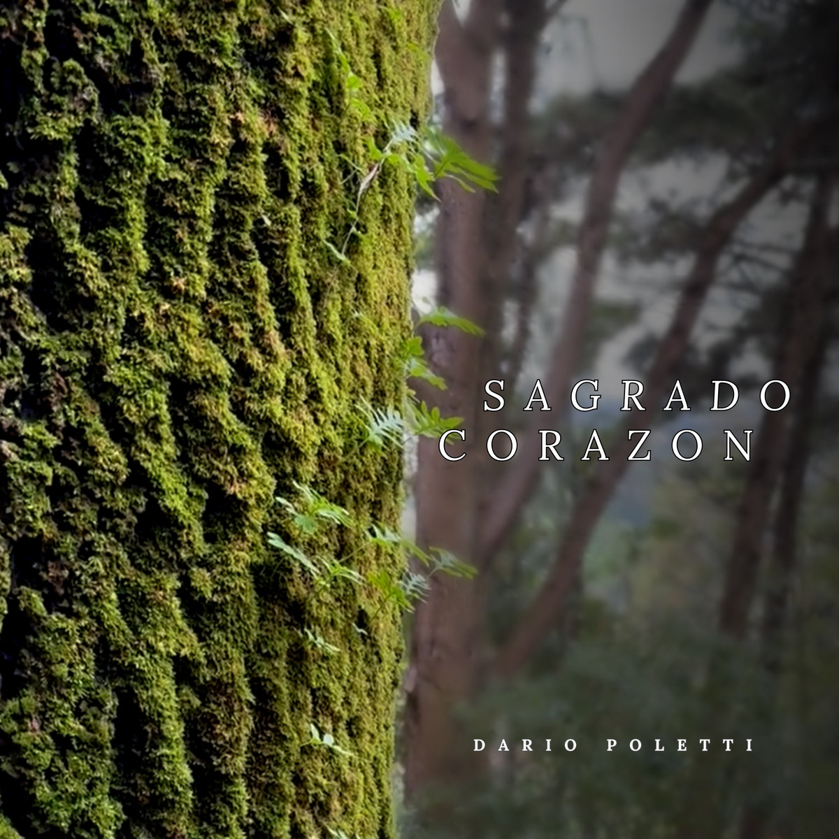 Sagrado Corazón | Darío Poletti