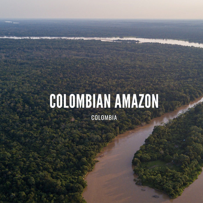 Colombian Amazon Rainforest | Earth Experience